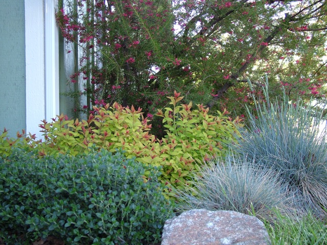 Textures- A Study In Contrasts - Terre Verte Landscape Design